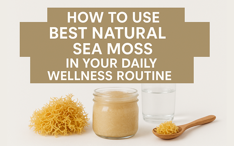 How to Use Sea Moss In your Daily Wellness Routine – Seamoss Global